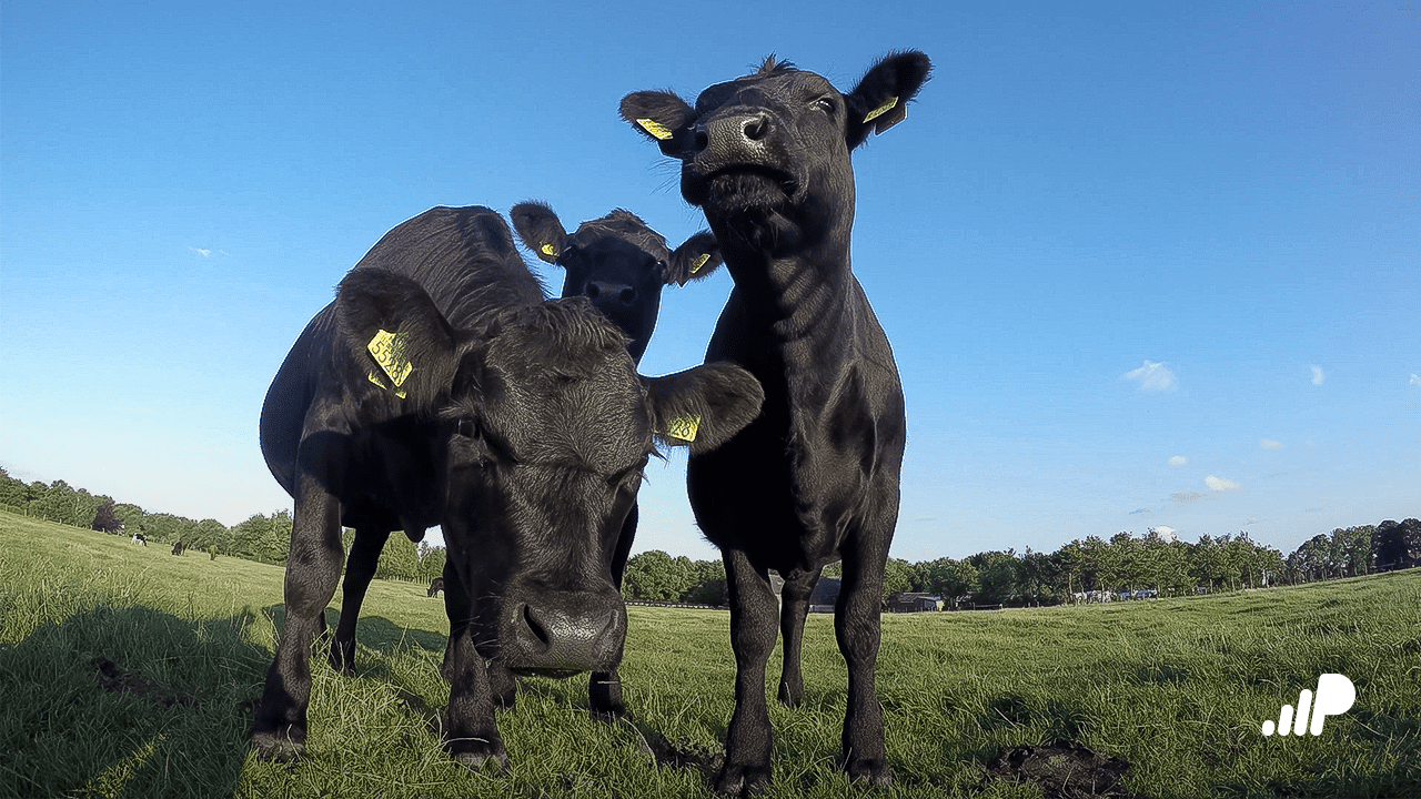 O que é DEP? Entenda o conceito